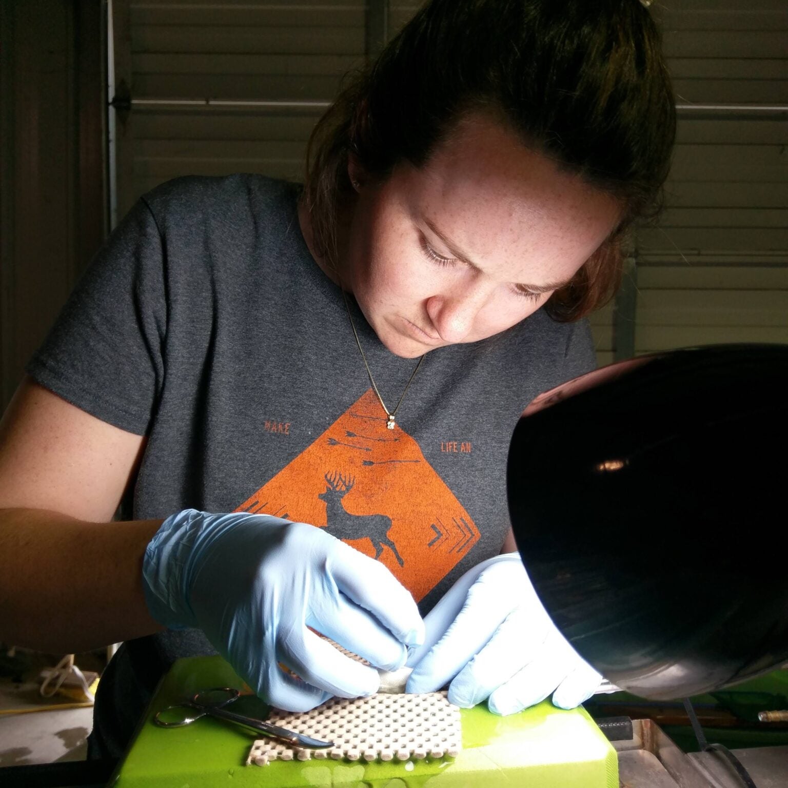 Salmon Research – Fish Conservation Physiology Lab