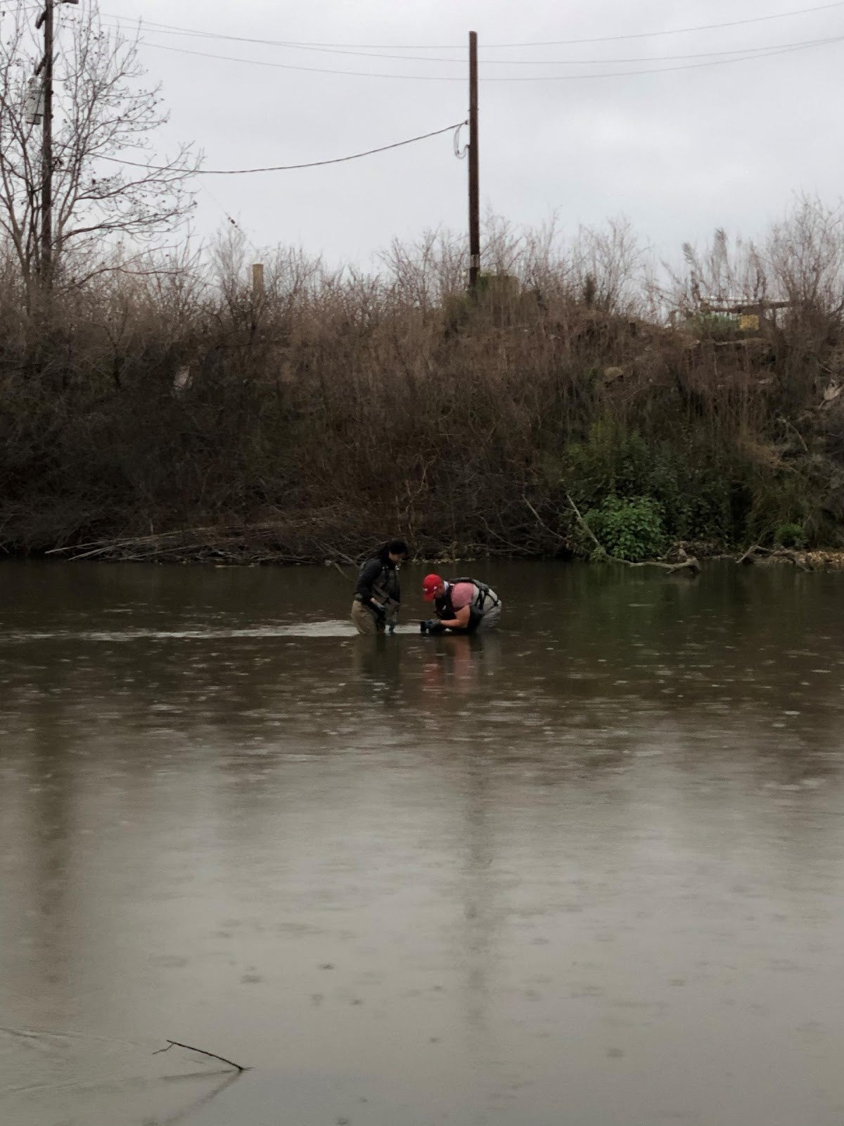 Natural Origin San Joaquin Spring-Run Chinook Salmon Telemetry – Fish ...